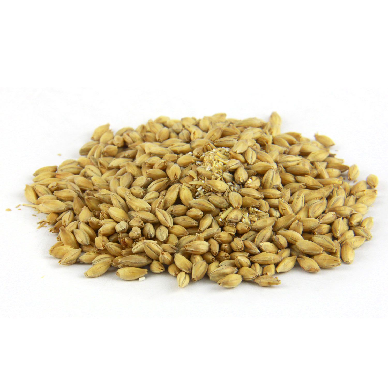 BSG RAH6001 Rahr Standard 6-Row Malt Grain - 1 lb | BeverageFactory.com